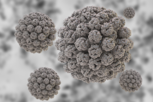 Non-GLP Cell Line Screening | Charles River