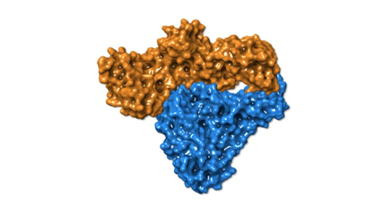 First of Its Kind Crystal Structure | Eureka blog