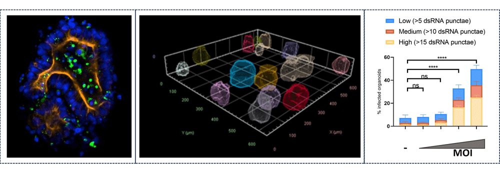 Raising the Bar with High Content Analysis | Eureka blog