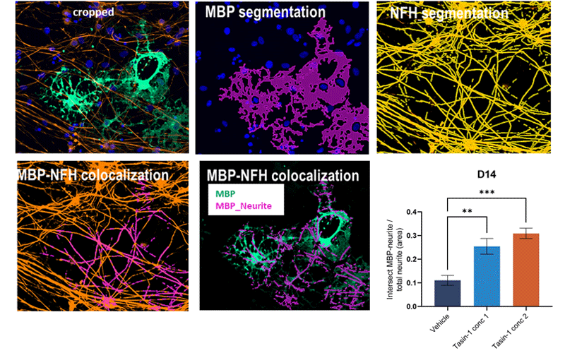 Raising the Bar with High Content Analysis | Eureka blog