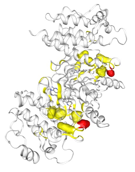 Useful Tools in Immunology: Catalogue of Somatic Mutations in Cancer ...