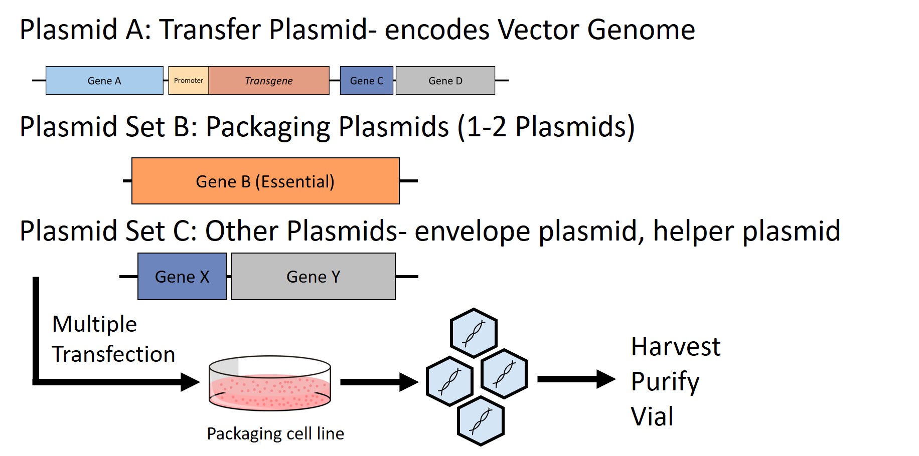 The Viral Vector Quandary | Charles River