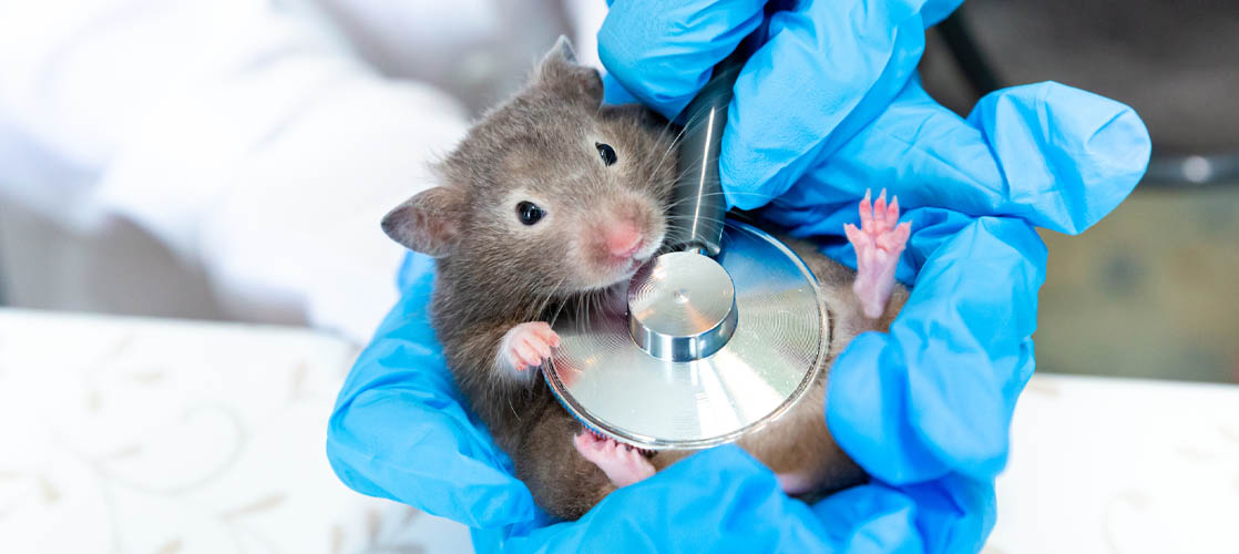 E80: Diversity in Veterinary Medicine (Podcast) | Eureka blog