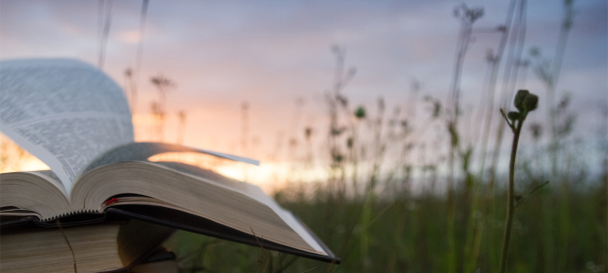 Summer Reading For Science Lovers | Charles River