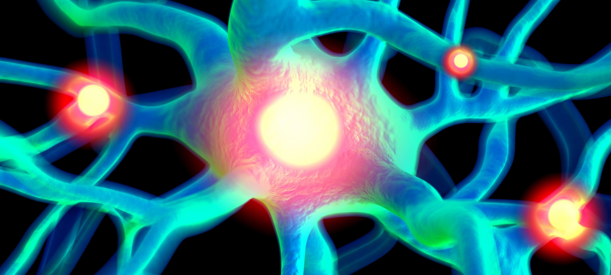 Lights, Experiment, Action | Charles River