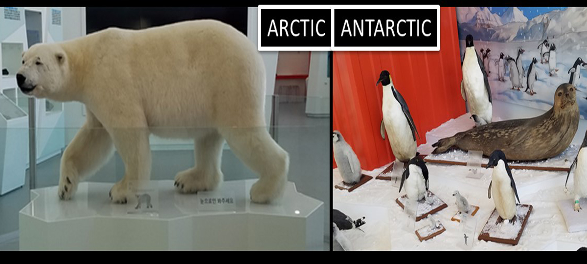 Mining Genetic Data at Korea's Polar Research Institute | Charles River