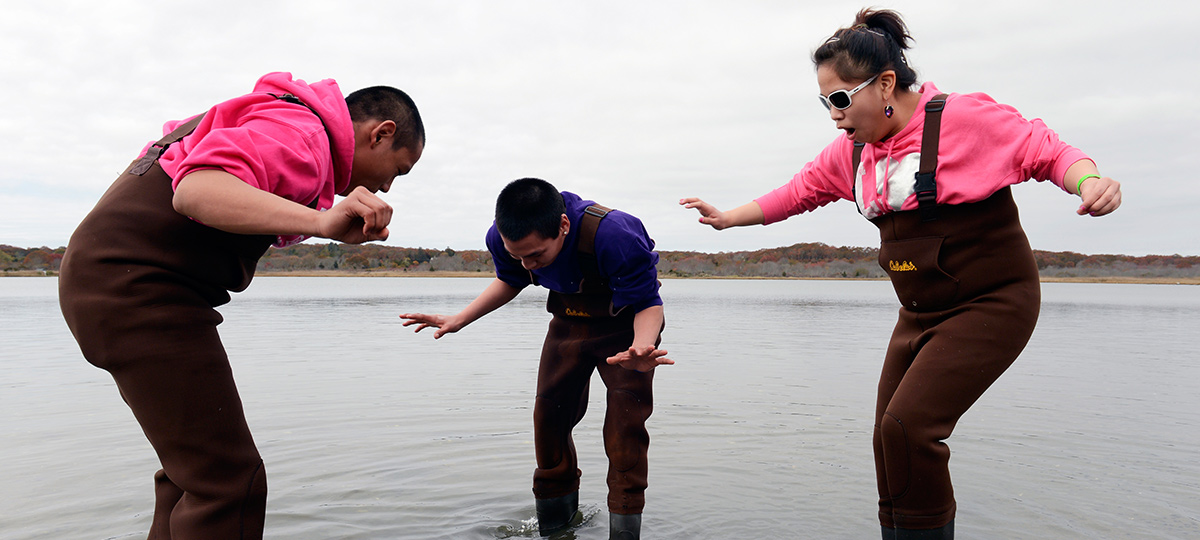 How Citizen Scientists are Protecting Horseshoe Crabs | Charles River