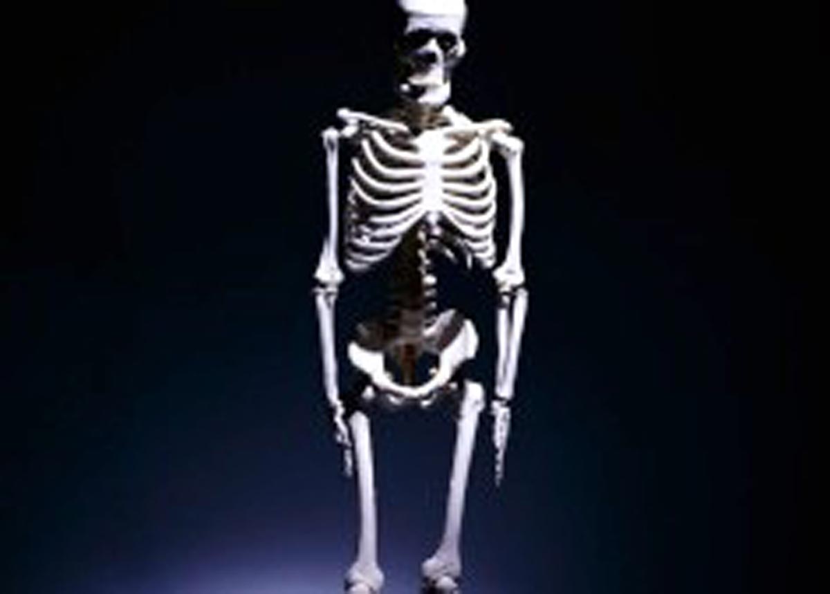 Susan Y. Smith featured in Genetic Engineering & Biotechnology News ...