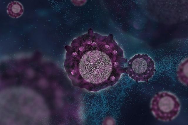 Assays for Natural Killer (NK) Cells | Charles River