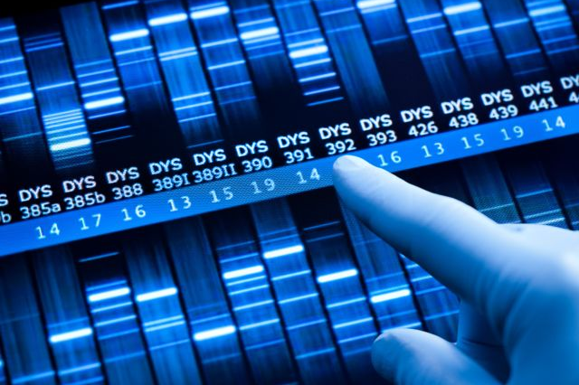 Ribotyping for Bacterial Characterization | Charles River