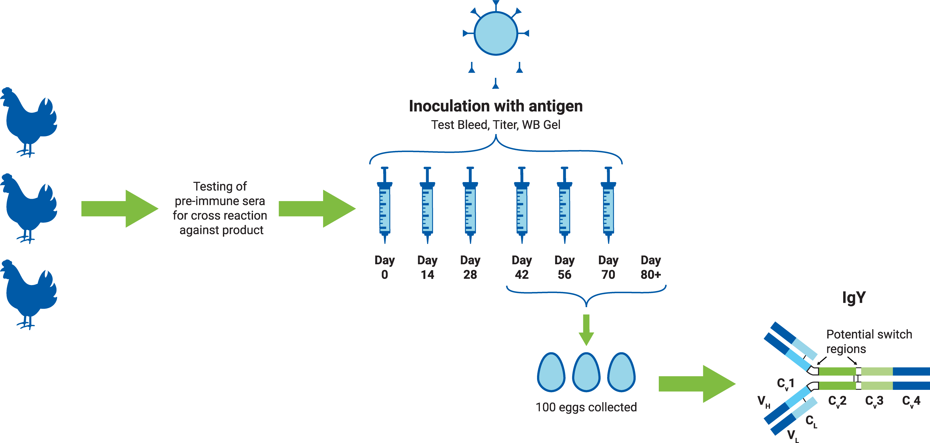 CHO-HCP ELISA Kit | Charles River