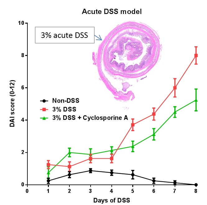 DSS-Induced Colitis Mouse Models | Charles River