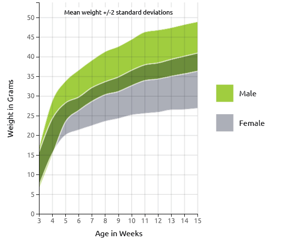 CD-1® IGS Mouse | Charles River