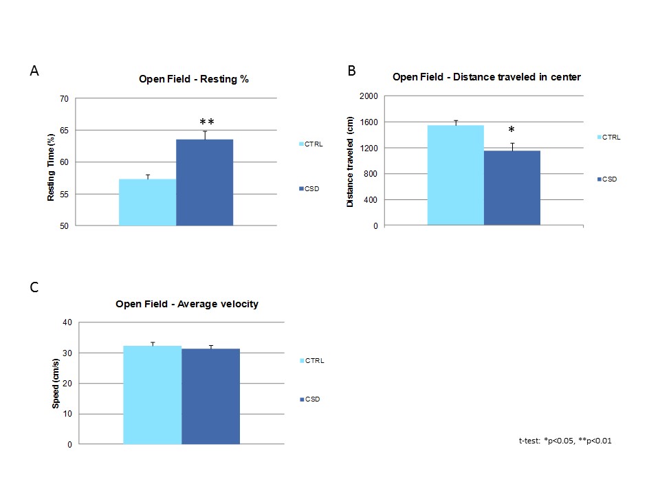 Chronic Social Defeat Stress Model | Charles River