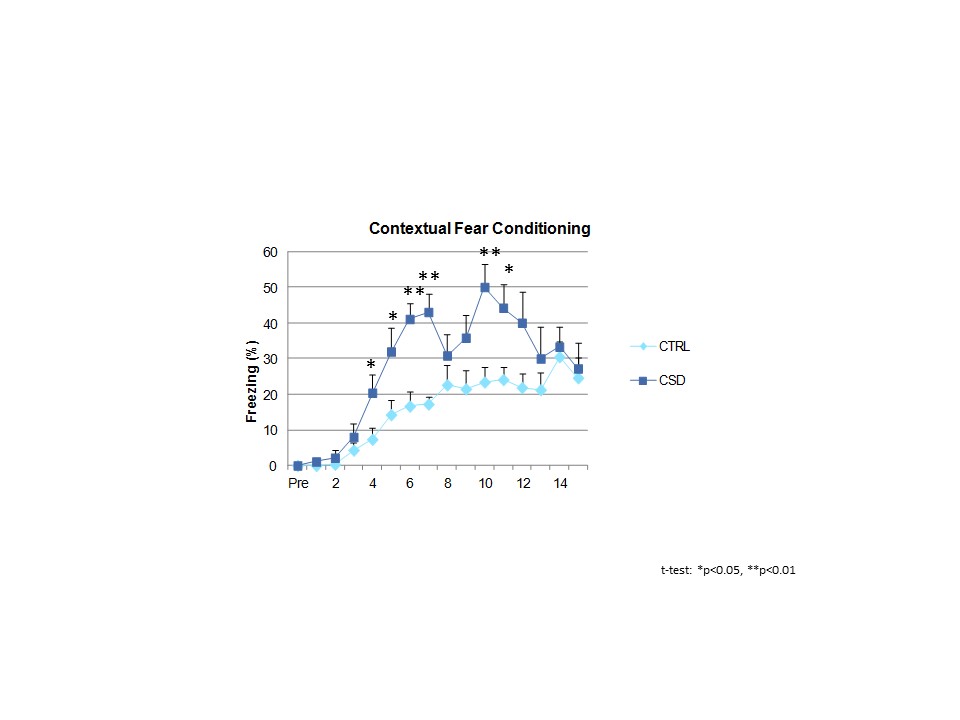 Chronic Social Defeat Stress Model | Charles River