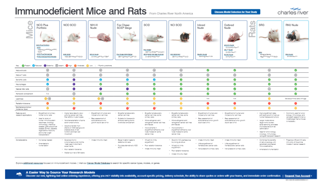 Triple-Immunodeficient Mice - TEST- Cloned | Charles River