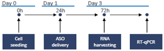 ASO Screening Services | Charles River Laboratories