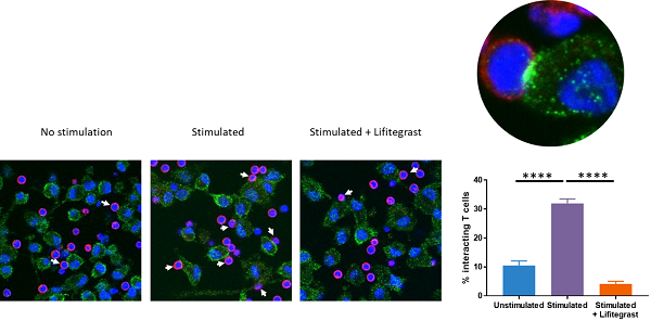 Inflammation and Autoimmune T cell assays | Charles River