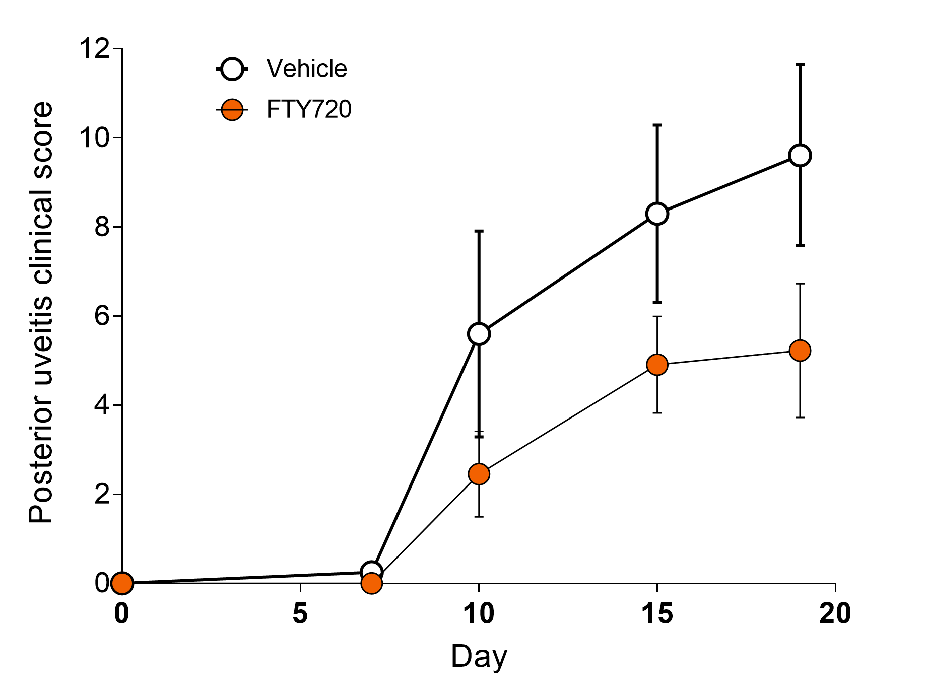Autoimmune Uveitis Model | Charles River