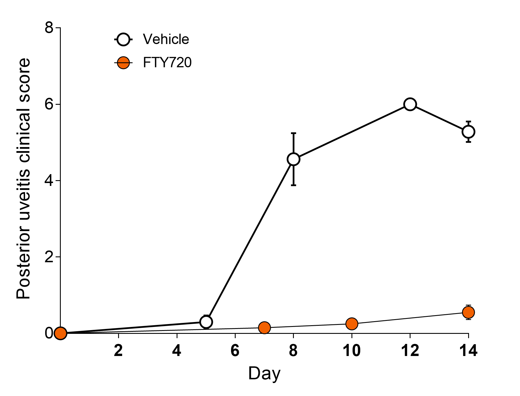 Autoimmune Uveitis Model | Charles River