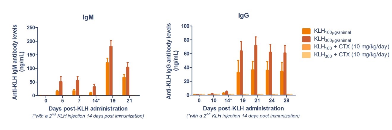 T-Cell-Dependent Antibody Response (TDAR) Assay | Charles River