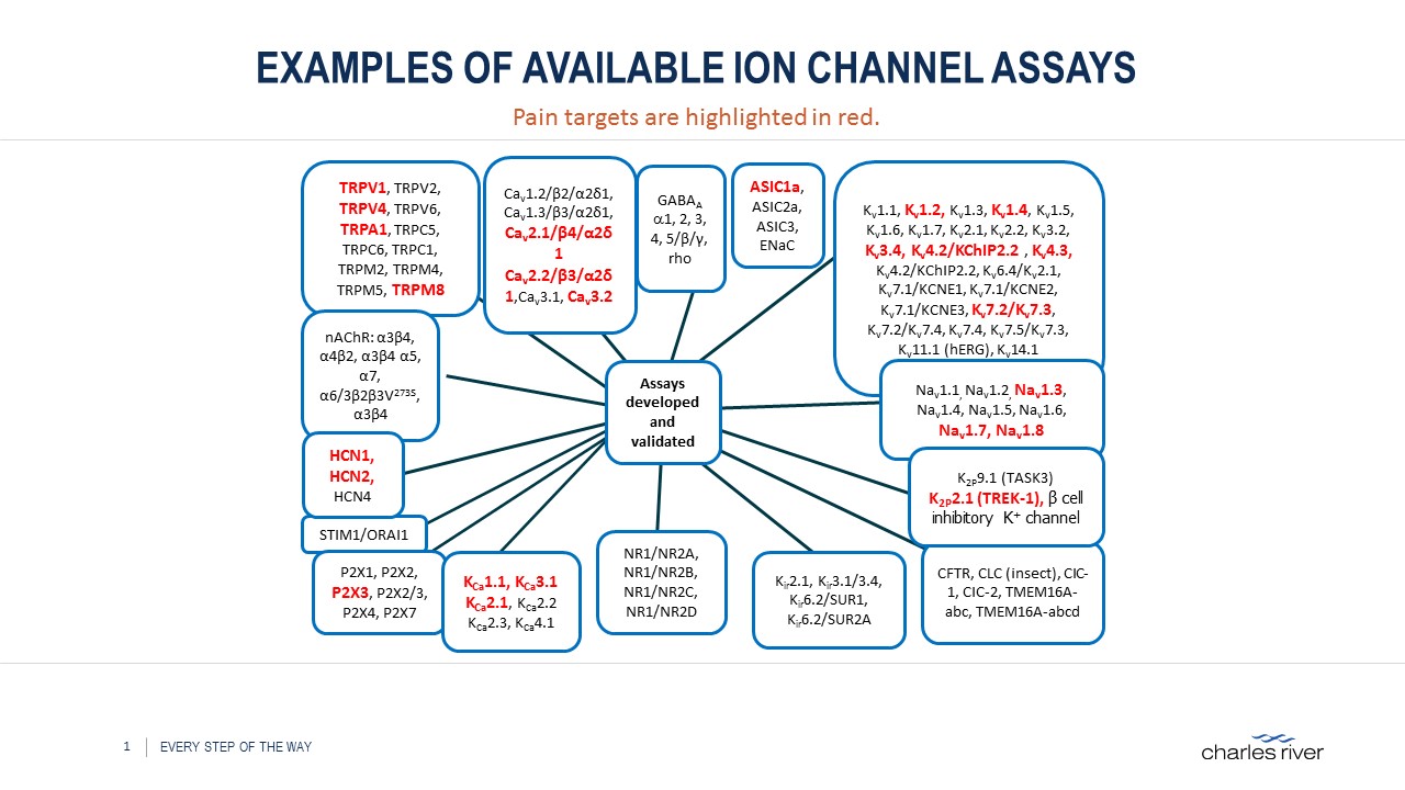 Pain Ion Channel Screening Assays | Discovery at Charles River