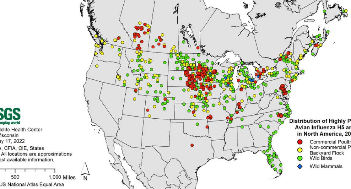 Looking Drug Development Squarely in the Eye | Charles River