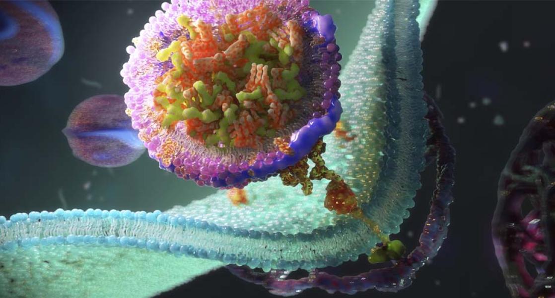 Test Your Knowledge of Alternative Medicine (Quiz) | Eureka blog