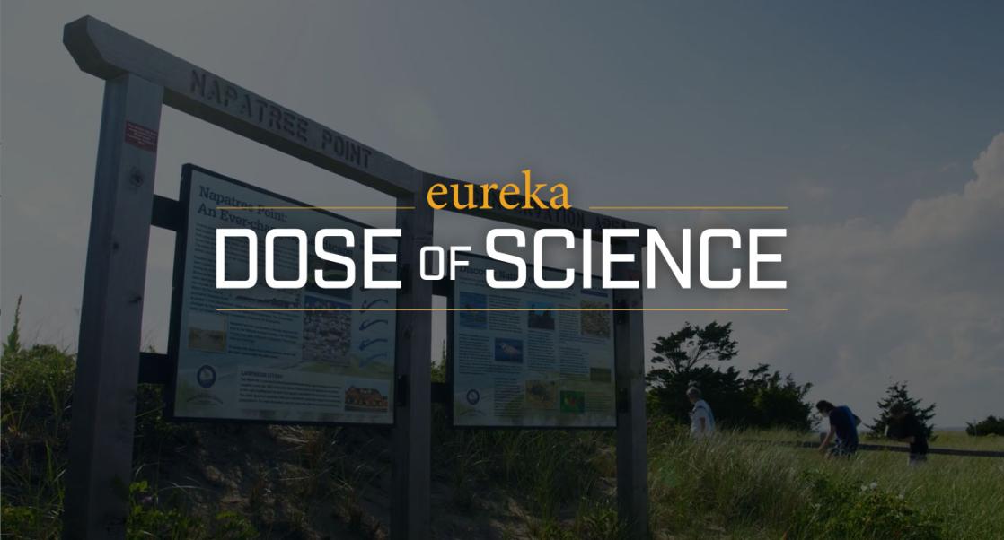 Molecular Warheads (Video) | Eureka blog