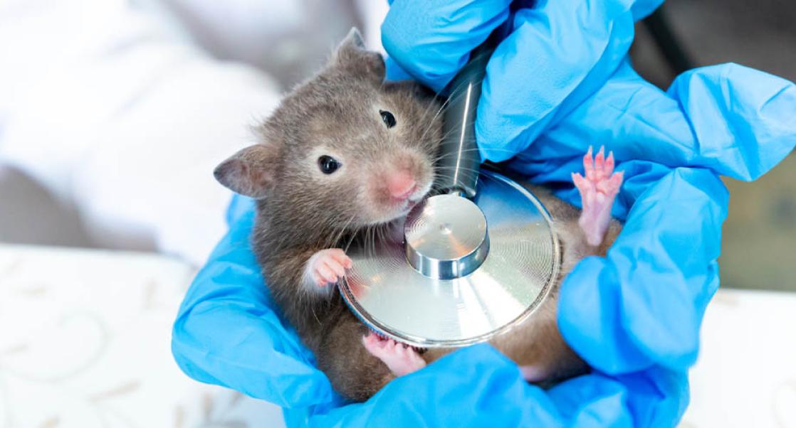 A Royal Recognition for Mental Health (Podcast) | Eureka blog