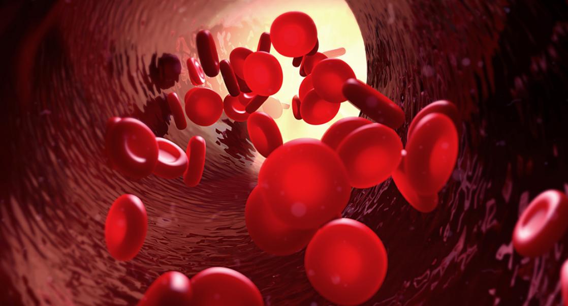 Sowing the Seeds of Food Safety | Charles River