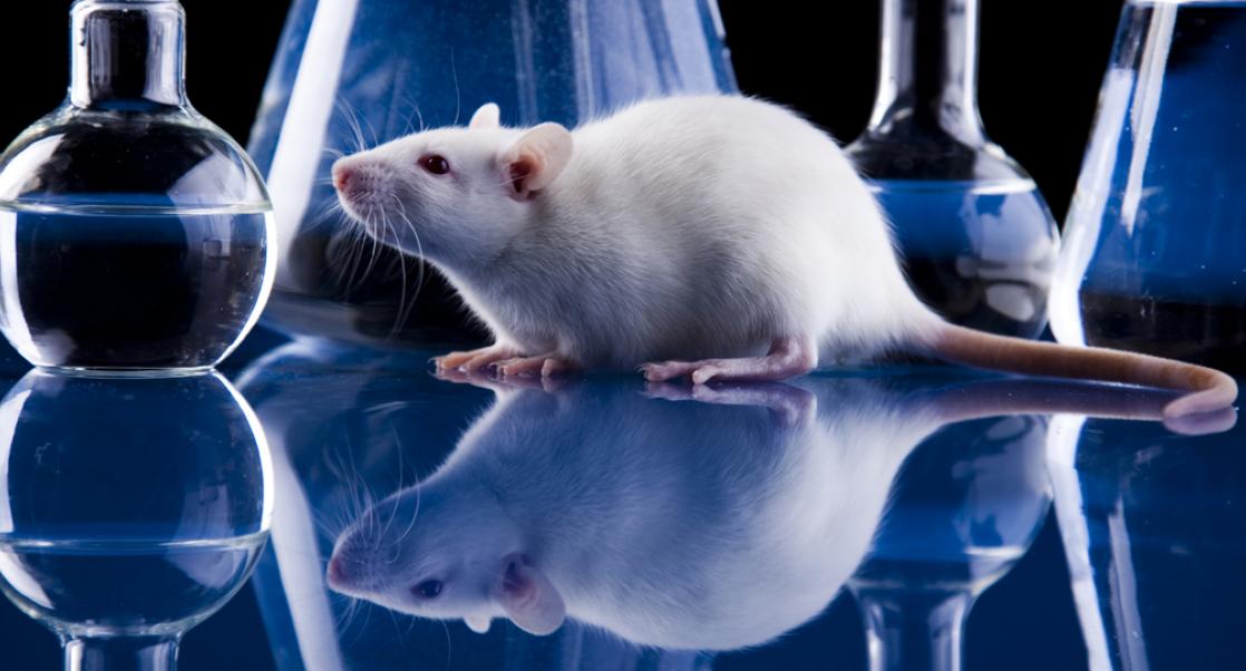 How COVID-19 Tends to Present in Laboratory Test Results | Charles River